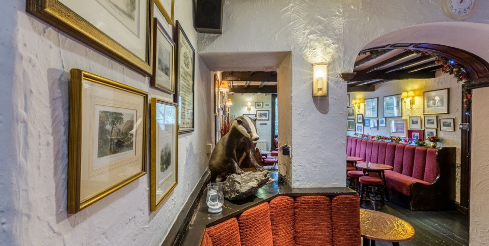 Badgers | Glen Rothay