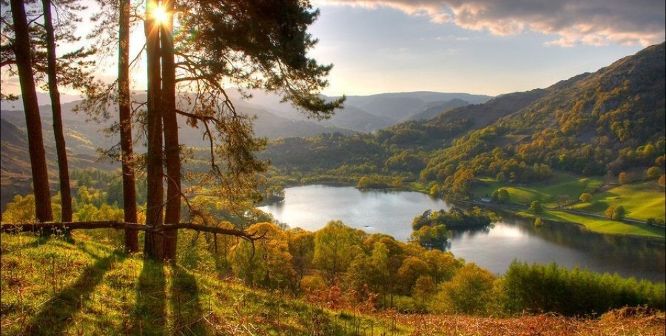 Badger Bar | Glen Rothay